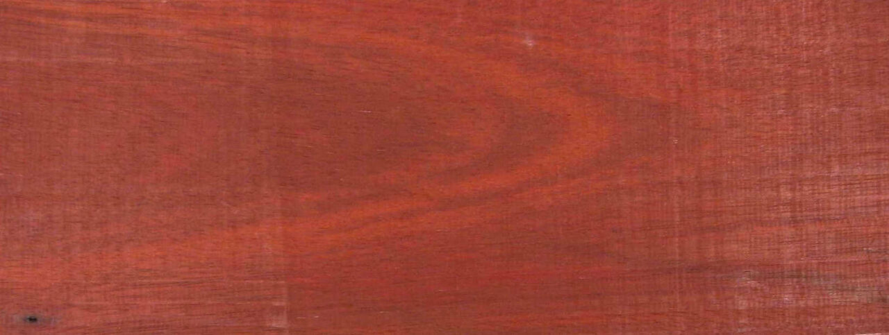 Species Guide - ETT Fine Woods