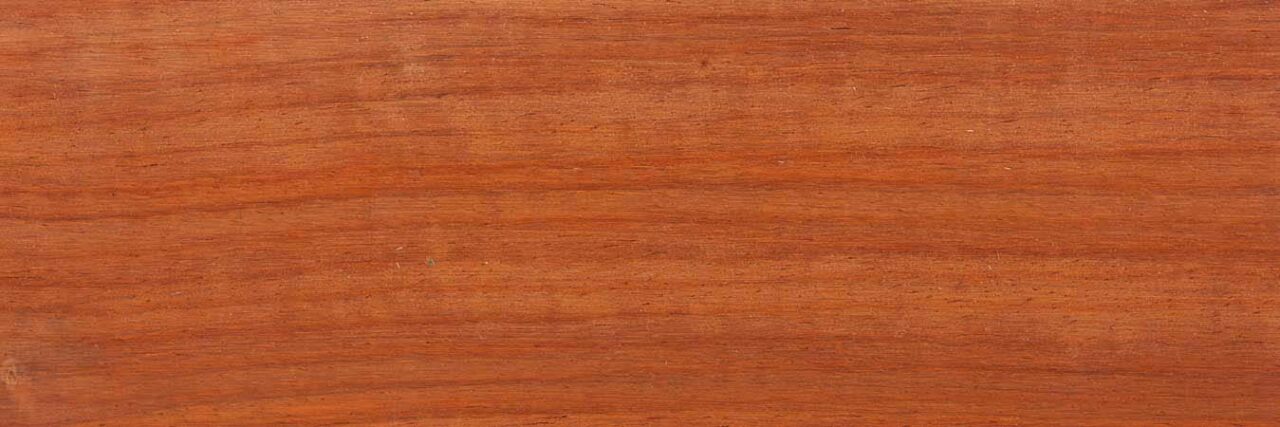 Species Guide - ETT Fine Woods