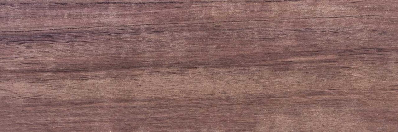 Species Guide - ETT Fine Woods